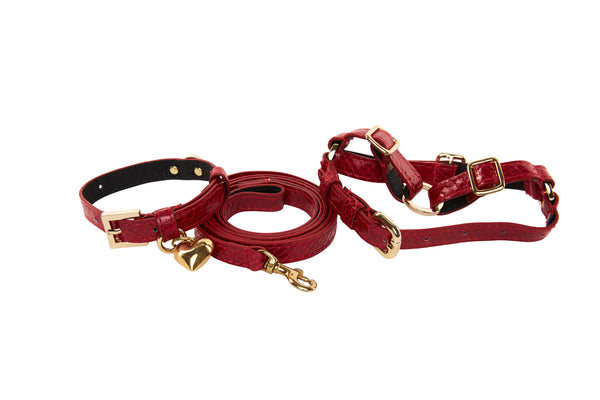 XS Red Viper Snake Collar, Leash, Harness Set - Allysa Payne Beverly Hills